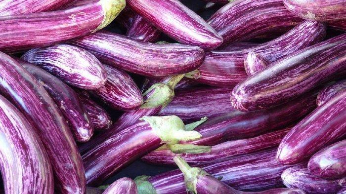 Fakta Atau Mitos Makan Terong Bikin 'Rudal' Pria Loyo? Ini Penjelasan ...