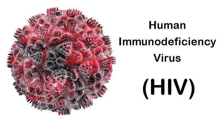 Asal Usul AIDS Terungkap, Patient Zero adalah Tentara Perang Dunia I ...