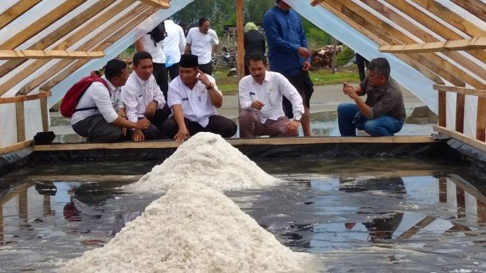 DKP Aceh Kembangkan Produksi Garam Sistem Tunel, Lebih Efektif dan ...