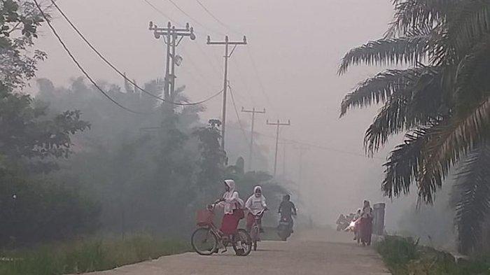 Kabut Asap Akibat Kebakaran Hutan dan Lahan Makin Parah di Riau ...