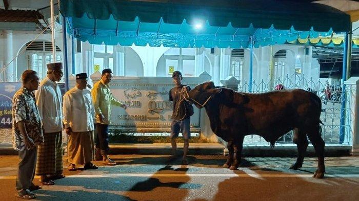Kapolda Aceh Bagikan 300 Kg Daging Sapi pada Hari Meugang - Serambinews.com