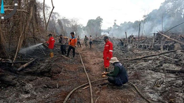 Karhutla Kembali Terjadi di Aceh Selatan, Petugas Sulit Padamkan Api ...