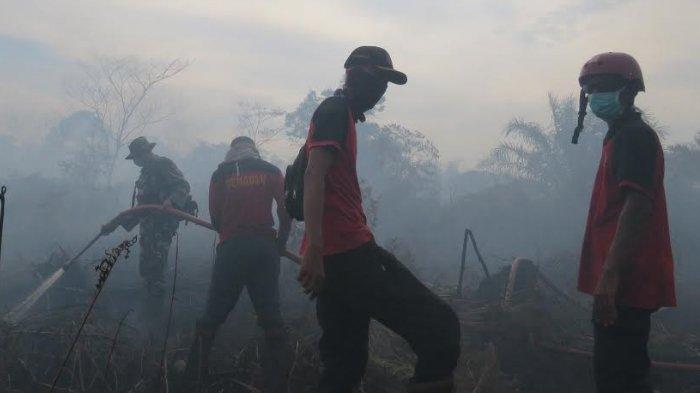 Kebakaran Hutan dan Lahan Kembali Landa Aceh Barat - Serambinews.com