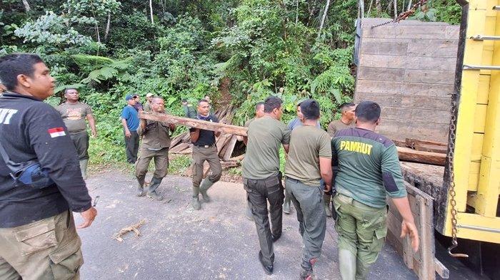 KPH III Aceh Sita Puluhan Batang Kayu Ilegal di Hutan Lindung Leles Serbajadi Lokop Aceh Timur ...
