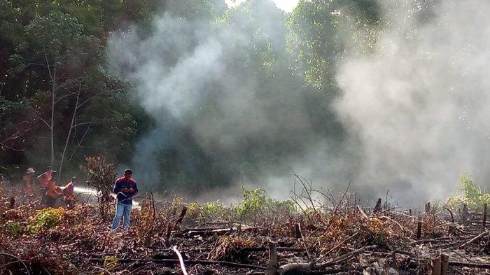 Karhutla Kembali Terjadi di Bakongan Aceh Selatan - Serambinews.com