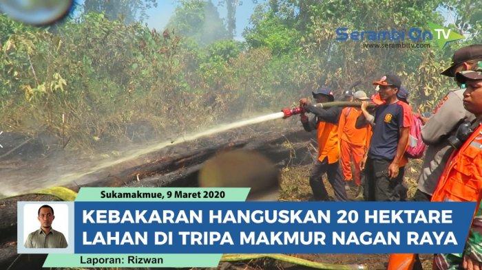VIDEO - Kebakaran Hanguskan 20 Hektare Lahan Di Kecamatan Tripa Makmur Nagan Raya - Serambinews.com