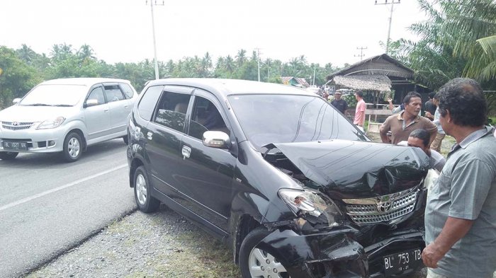 Rem Mendadak Untuk Hindari Kerbau di Jalan, Tiga Mobil Terlibat Kecelakaan di Nagan Raya ...