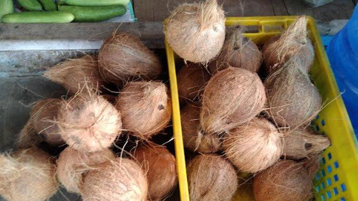 Harga Kelapa Santan di Aceh Singkil Rp 6.000 Per Butir, Kalah Mahal ...