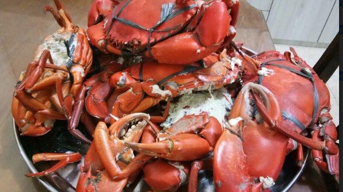 Kepiting Jumbo Hasil Kekayaan Alam Aceh Singkil Disajikan Menyambut ...