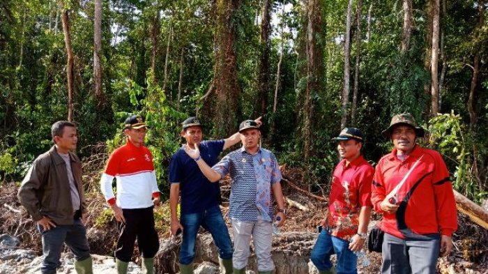 DPRK Abdya Minta Kaji Ulang Batas Hutan Lindung - Serambinews.com DPRK Abdya Minta Kaji Ulang Batas Hutan Lindung - Serambinews.com