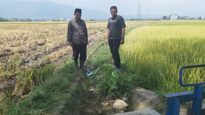 Irigasi Sawah Blang Raya Aceh Besar Sudah 5 Tahun Rusak, Hingga Kini belum Diperbaiki, Ini Kata ...