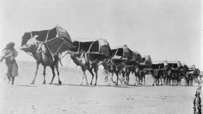 Sejarah Perjalanan Haji dari Darat, Konvoi Unta, Kuda dan Keledai ...