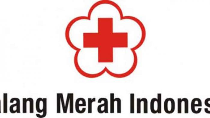 Pmi Corel Logo PMI New Logo