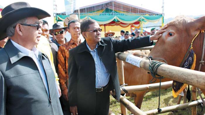 Padang Gembala Lebih Ekonomis - Serambinews.com