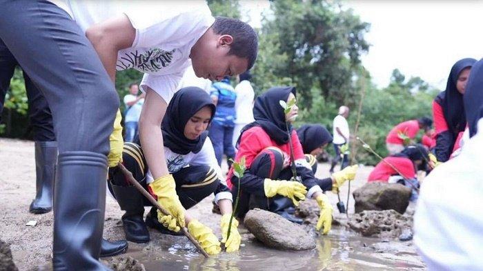 BPIP Bersama Pemko Sabang Tanam Bibit mangrove - Serambinews.com