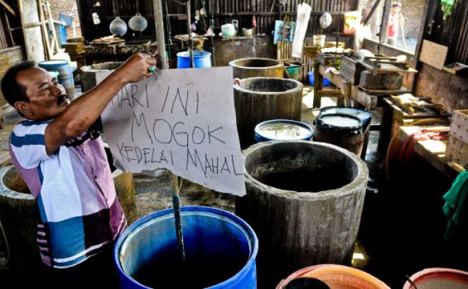 Subsidi Kedelai Tak Efektif Jika Hanya Diberikan kepada Produsen, Beri ...