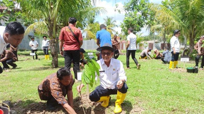 Pemkab Aceh Tamiang Remajakan Ribuan Hektare Tanaman Kakao ...