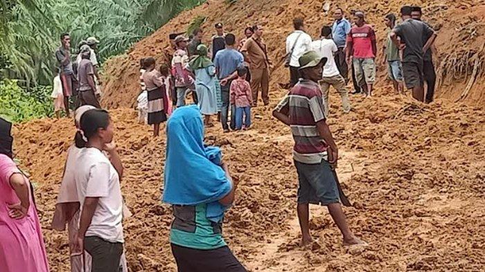 Ancam Keselamatan, Parit Isolasi Perusahaan Perkebunan Kelapa Sawit ...