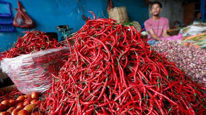 Selama Ini Kita Salah, Ternyata Begini Cara Sederhana Simpan Cabai Agar ...