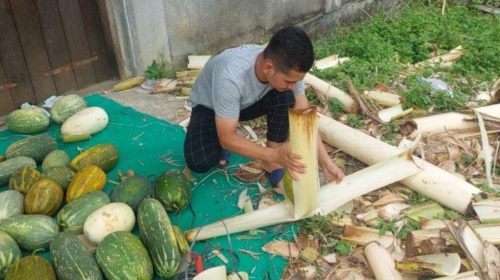 Timun Suri Peusangan Bireuen Laku Keras Selama Ramadhan - Serambinews.com