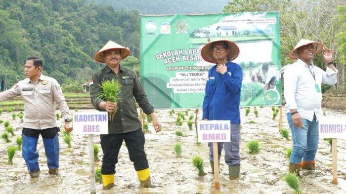 BMKG Beri Pendidikan Iklim Bagi Petani Padi Aceh Besar, Sawah di ...