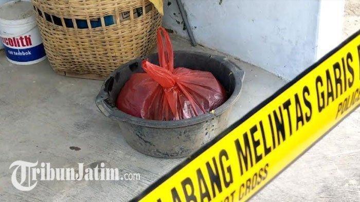 Kakek Cium Bau Busuk di Kamar Cucu, Dikira Bangkai Tikus, Ternyata Mayat Bayi dalam Kantong ...