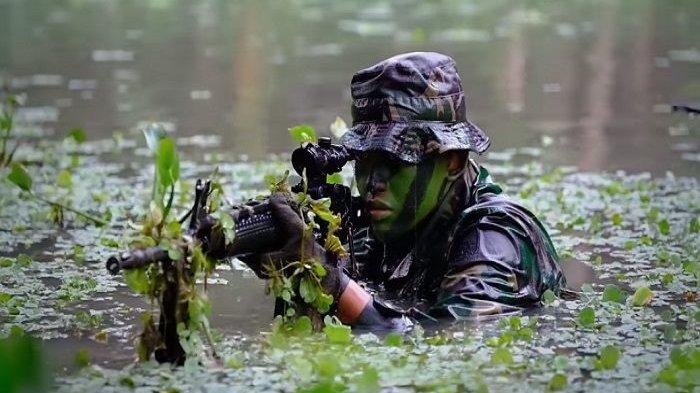 Tak Sadar Dibuntuti Tim Pemburu Pendawa TNI, Pentolan OPM Kelly Kwalik ...