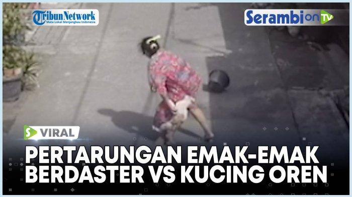 VIDEO VIRAL Pertarungan Emak-emak Berdaster VS Kucing Oren, Usir Pakai Air Malah Diserang Balik ...