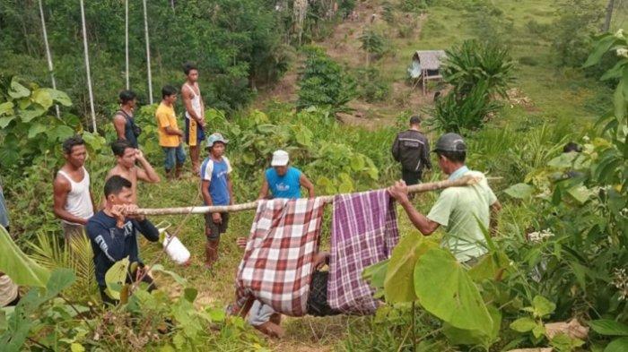Bahayanya Stroke, Dua Hari Petani Aceh Tamiang Tak Pulang, Ditemukan Meninggal di Kebun Sawit ...