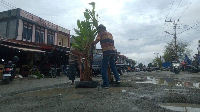 Kesal Karena Jalan Rusak Tak Kunjung Diperbaiki, Warga Tanam Pohon Pisang di Badan Jalan ...