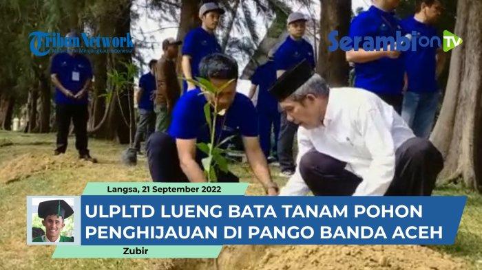 VIDEO - Dukung Penghijauan, ULPLTD Lueng Bata Tanam Pohon di Desa Lueng ...
