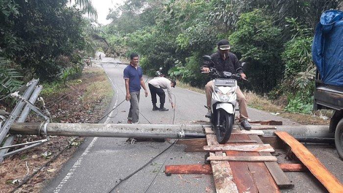 Tiang Listrik Roboh Akibat Tertimpa Pohon Durian di Woyla Aceh Barat, Arus Lalu Lintas Macet ...