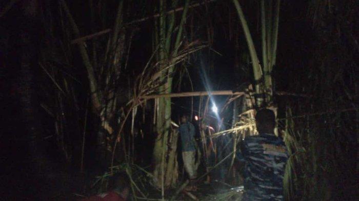 Pohon Rumbia Terbakar, Empat Damkar Bireuen Dikerahkan - Serambinews.com