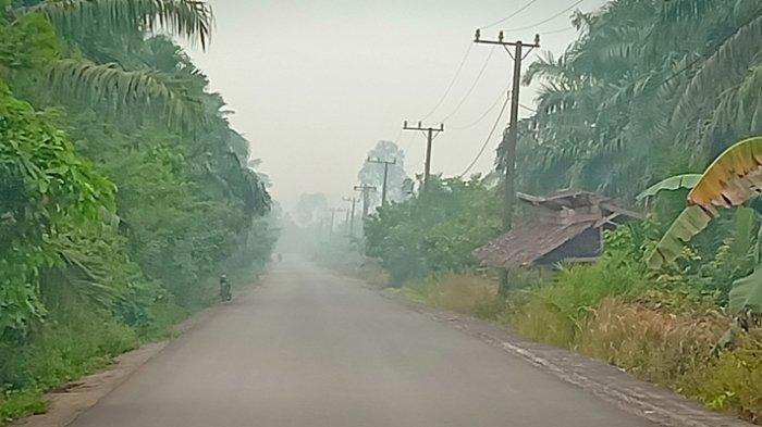 Kabup Asap Semakin Menebal di Aceh Timur, Ini Imbauan Dinkes Hingga ...