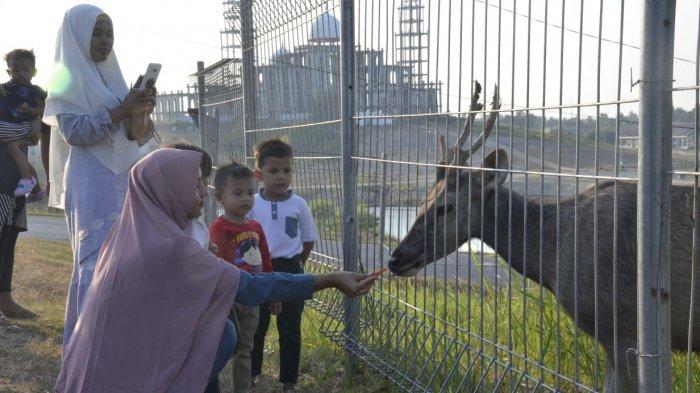Rusa di Taman Puspemkab Aceh Timur Jadi Tontonan Warga - Serambinews.com