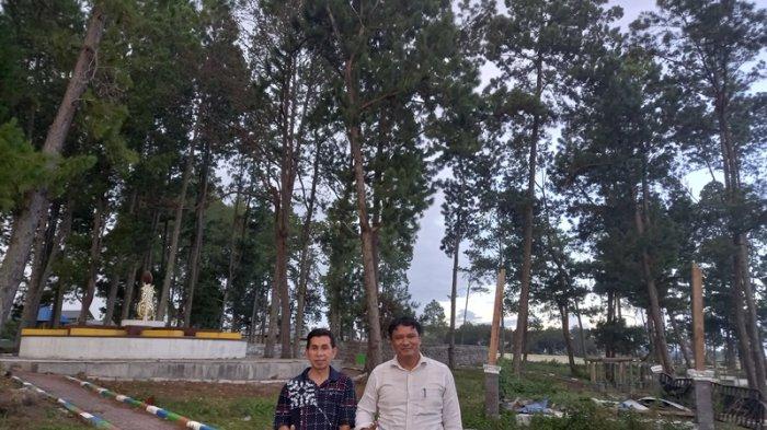 Temuan Arkeologi Ceruk Mendale, Pinus Mercusi di Gayo Merupakan Tanaman ...