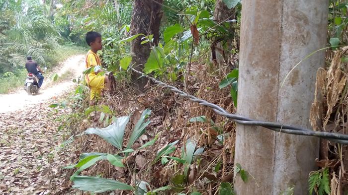 Ini yang Dilakukan Kernet saat Mobil Trado Kesetrum, Alhamdulillah Ia ...