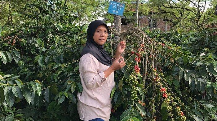 Rahmah, Sosok Perempuan Tangguh dari Tanoh Gayo - Serambinews.com