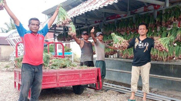 Manfaatkan 'Lahan Tidur', Datok Penghulu di Aceh Tamiang Tanam Sayuran ...
