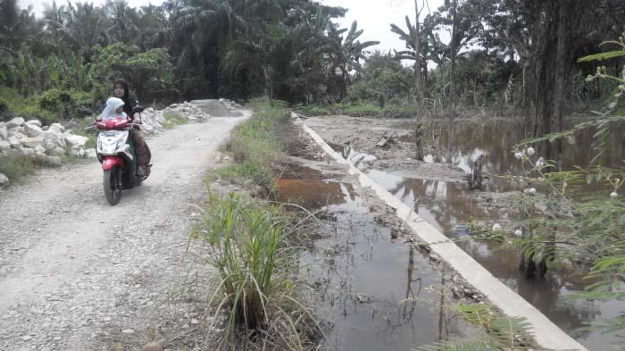Talud Pengaman Jalan di Alue Peunyareng Ambruk - Serambinews.com