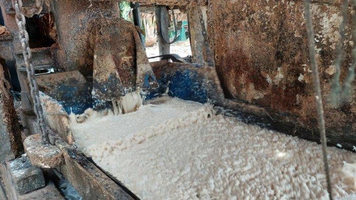 Melihat Pengolahan Sagu di Pinggiran Singkil - Serambinews.com