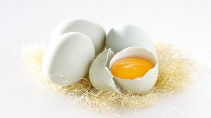 Jadi Alternatif yang Bagus, Ini 11 Keunggulan Telur Bebek Dibanding ...