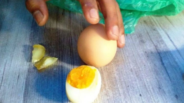 Jangan Coba-coba Sebar Informasi Hoaks soal Telur Palsu, Jika kedapatan ...