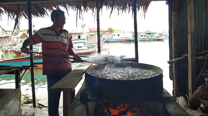 Awu-awu, Teri Karang Pulau Banyak Jadi Favorit Oleh-oleh hingga Hiasi ...