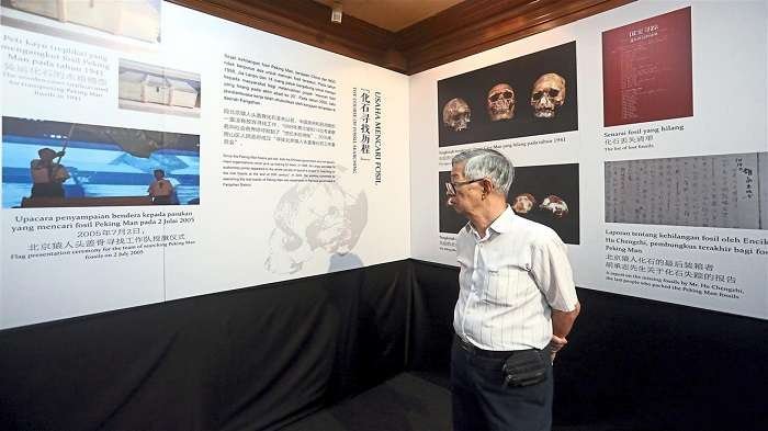 Melalui "The Peking Man Show", Telusuri Sejarah Manusia Pertama di Asia ...