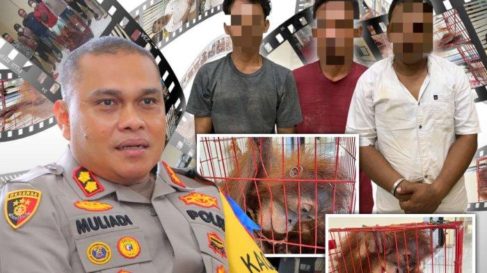 Polisi Tangkap Pelaku Perdagangan Satwa Dilindungi - Serambinews.com