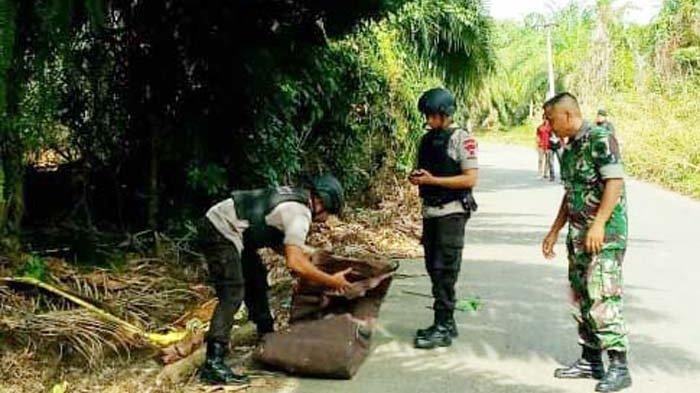 Pembersih Kebun Sawit Temukan Bom Rakitan - Serambinews.com