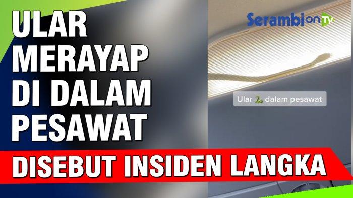 VIDEO - Ular Merayap di dalam Pesawat, Disebut Insiden Langka hingga ...