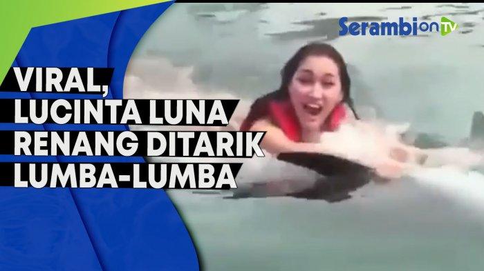 Video Lucinta Luna Renang Ditarik Lumba-Lumba Viral, Susi Pudjiastuti ...
