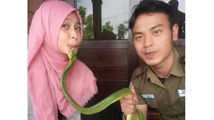 Fotonya Digigit Ular Jadi Meme & Viral, Begini Kisah di Baliknya dan ...